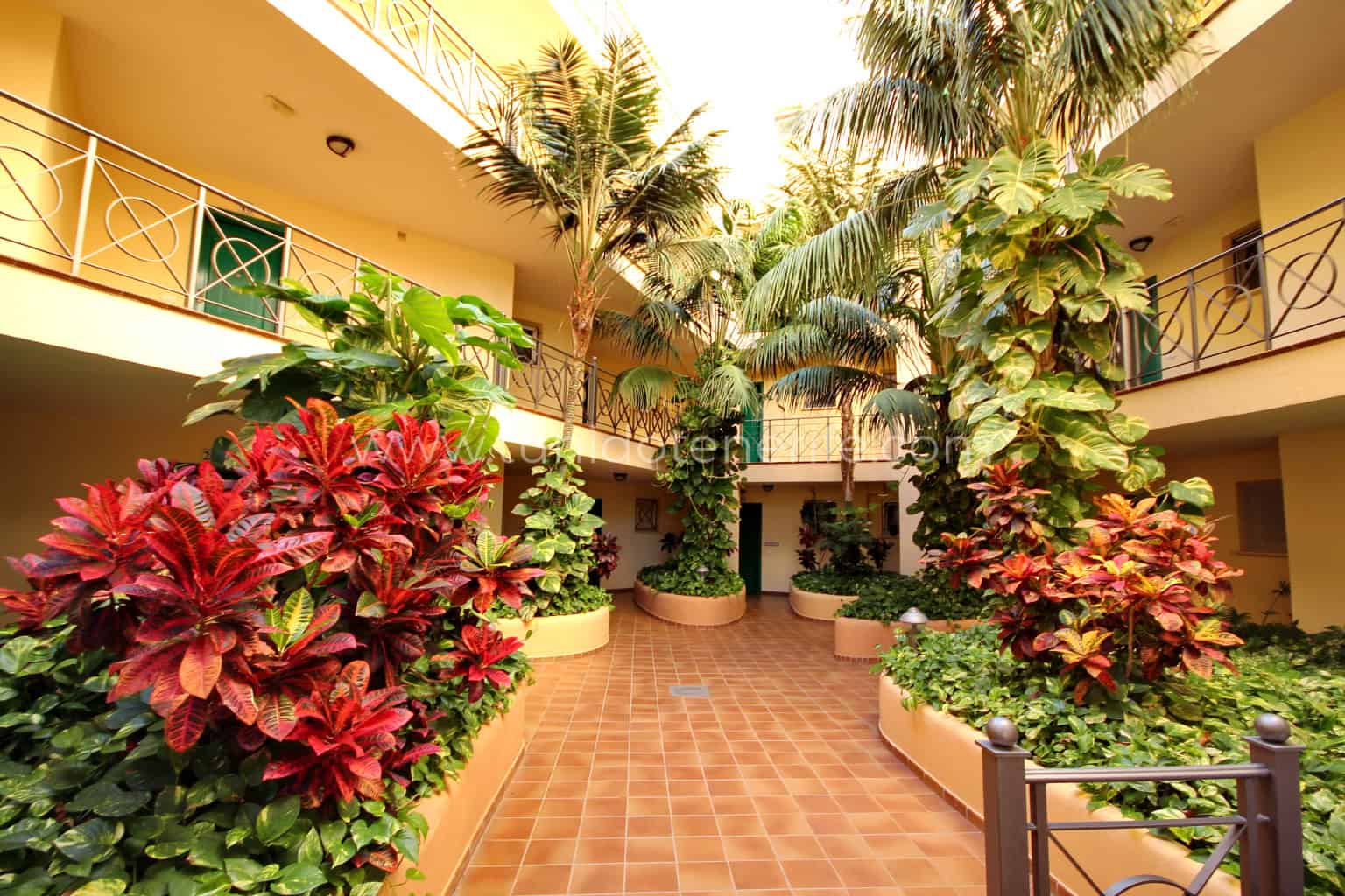 Promo Codes 2025: User Reviews Guide for NZ Players | Tu Nido Tenerife